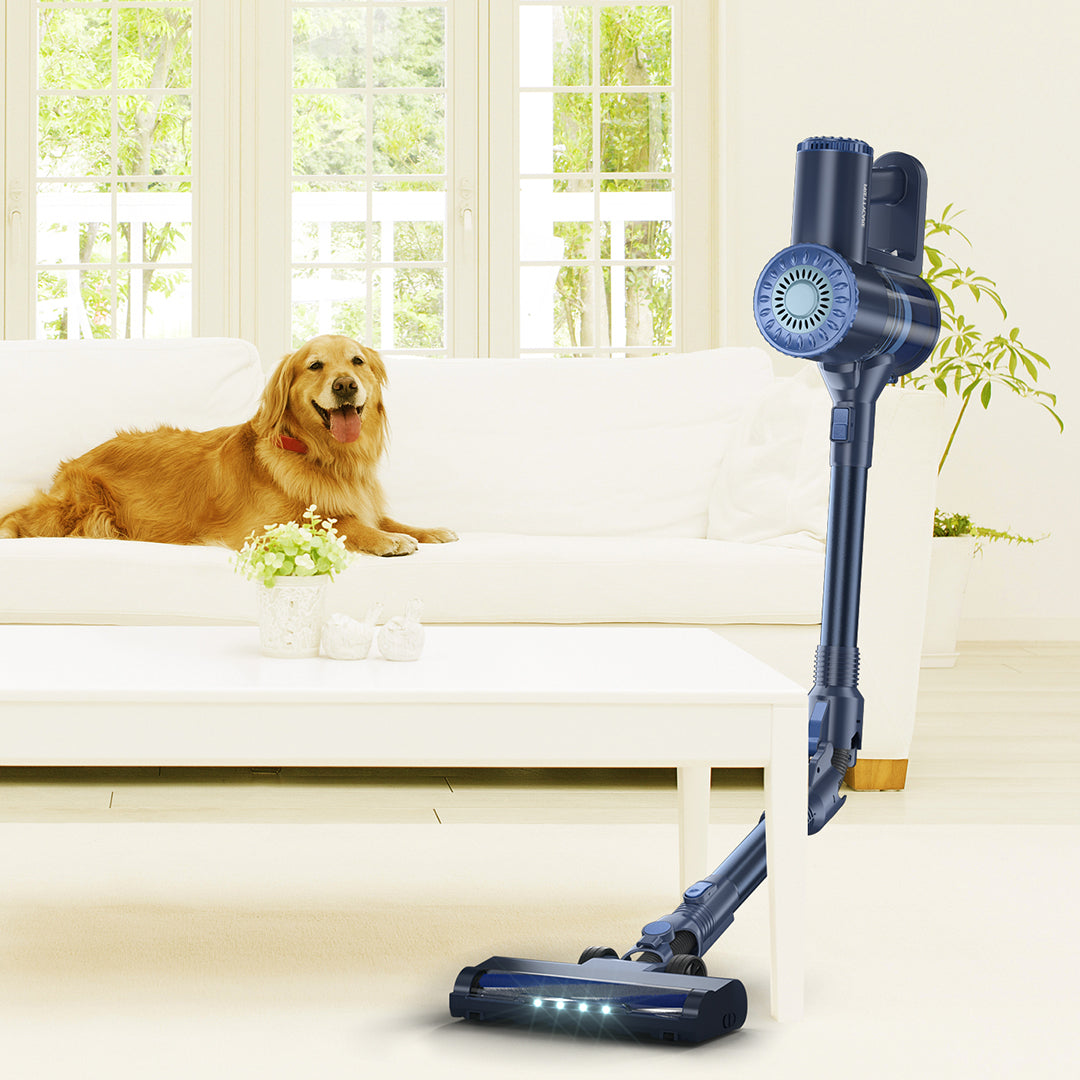 Unlock the Benefits of Fall Cleaning with Prettycare W400 – PRETTYCARE